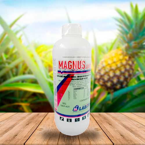 MAGNUS | Gr Pharma